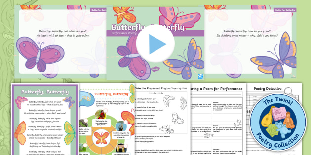 'Butterfly, Butterfly' KS1 Life Cycle Rhyming Couplet Poem